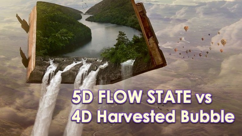 The Shift: Difference between 5D Flow State and 4D Harvested Bubble | Openhand